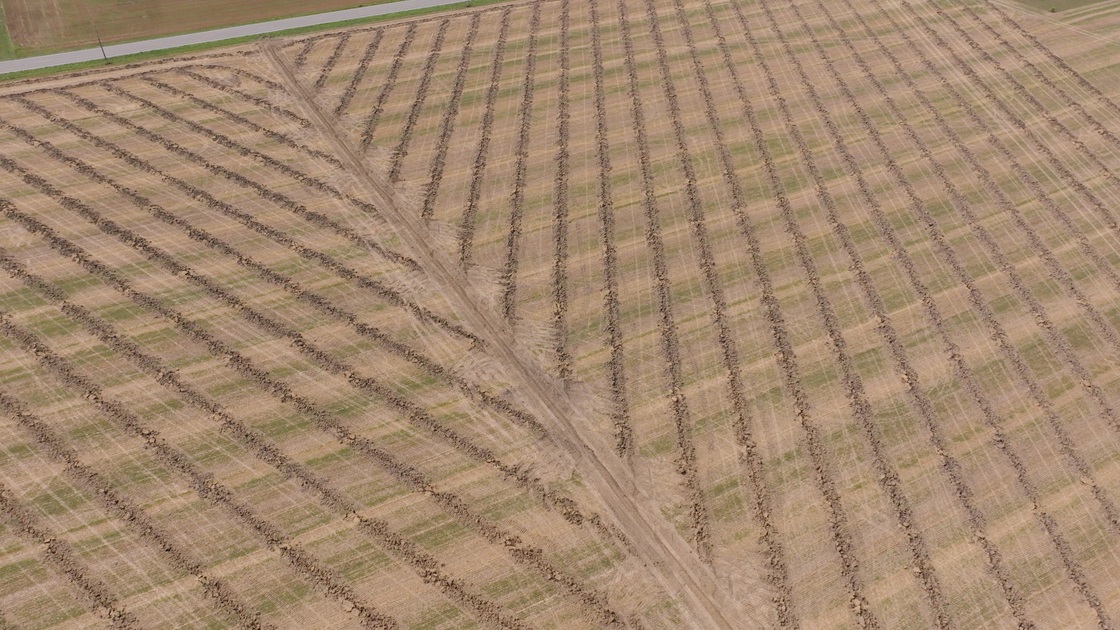 Take Action to Beat the Tough Conditions